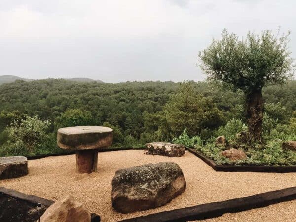 Best Places to See in Catalonia for Food and Wine Lovers